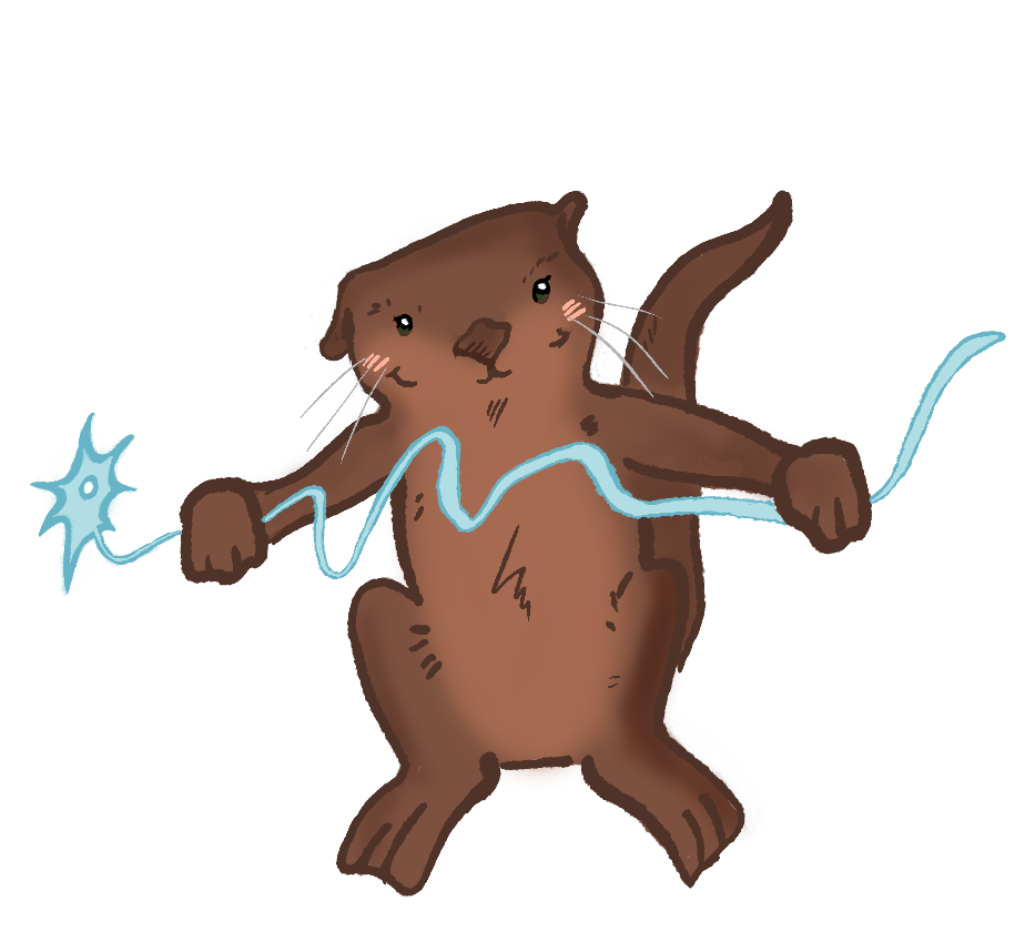 The Way we Live the Way we Learn – In Otter Words